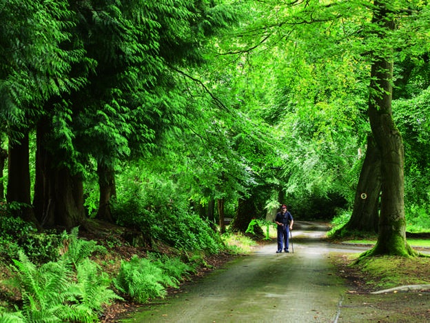 Así son las vacaciones de las familias pobres británicas | Mujerhoy