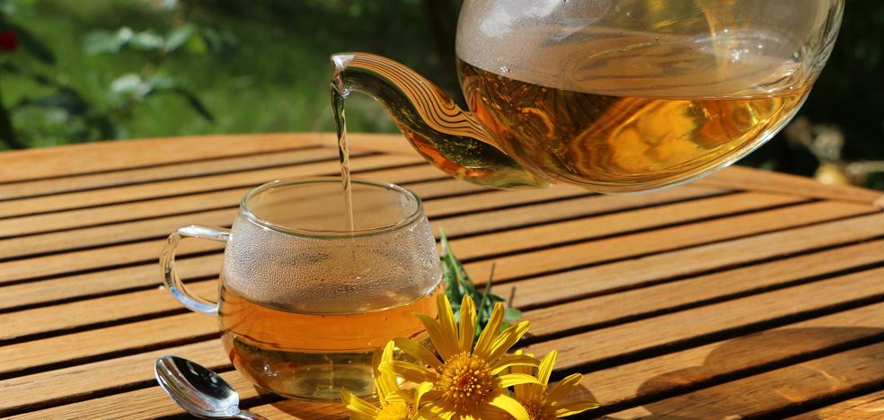 Infusión de flor de tilo: la bebida que deberías tomar cada noche para ...